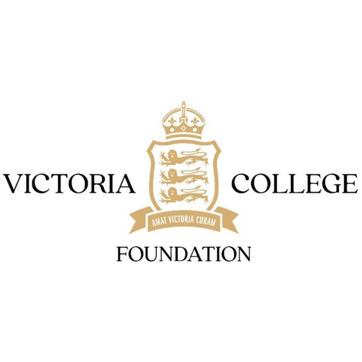 Victoria College - Victoria College Welcomes New Foundation Partner ...